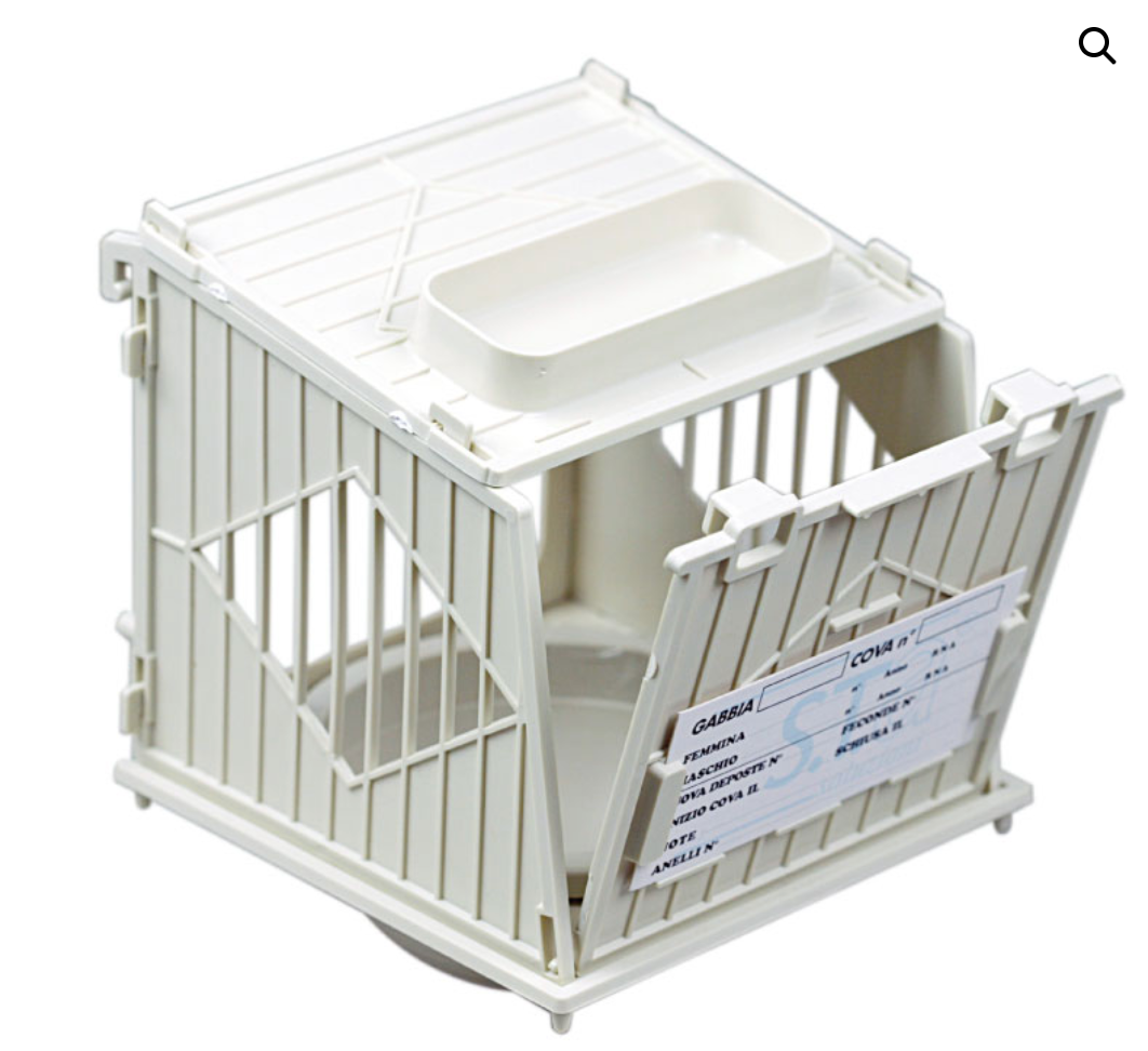 plastic canary nest with tilting door GALILEO| AviCentre